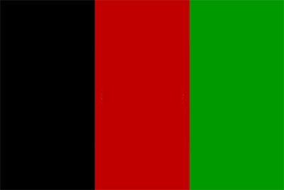 PPP, PML-Q announce candidates' names after seat adjustment - Pakistan ...