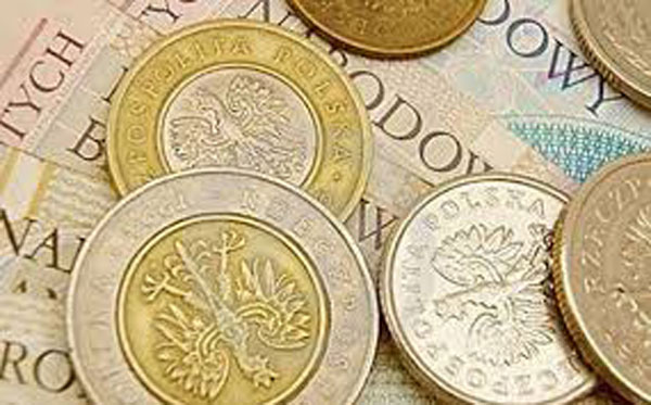 Hungarian stocks hit one-month high, zloty near nine-week high ...