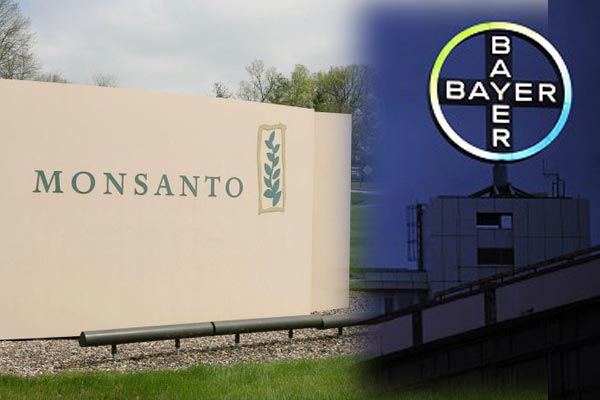 Bayer, Monsanto in merger talks - Business & Finance - Business Recorder