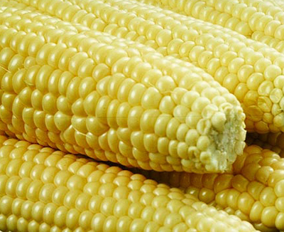 Corn Cme