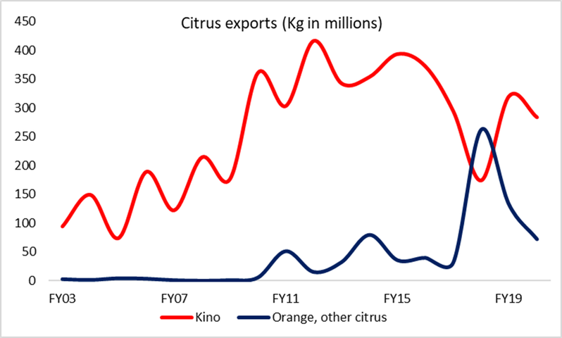 Kinnow exports getting squeezed - BR Research - Business Recorder