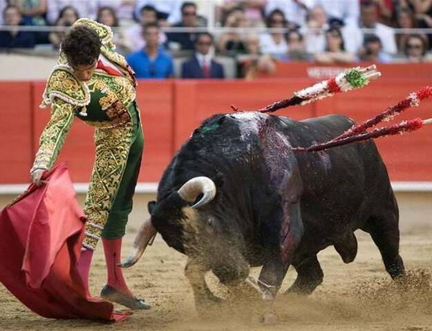 Ole! Bullfights return in Peru after lengthy pandemic pause - Sports ...