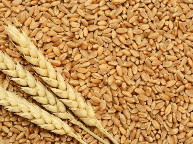 India to be allowed to send wheat, drugs to Afghanistan by road ...