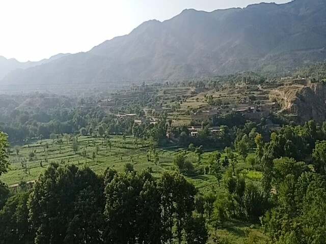 Newly appointed DC of Bajaur takes charge - Pakistan - Business Recorder