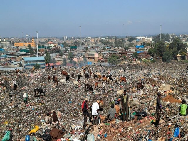 Survey reveals massive support for world’s first plastic treaty ...