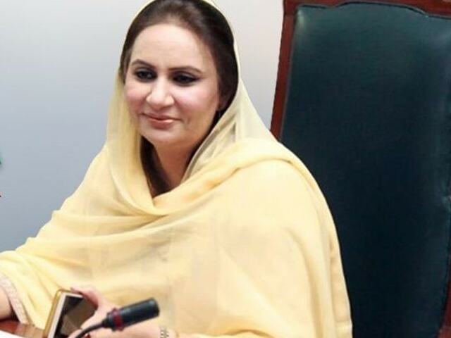 Country cannot be left at mercy of thieves: PTI leader - Pakistan ...