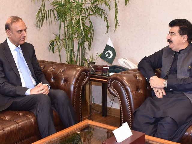 SBP governor, Senate chairman discuss economic situation - Business ...