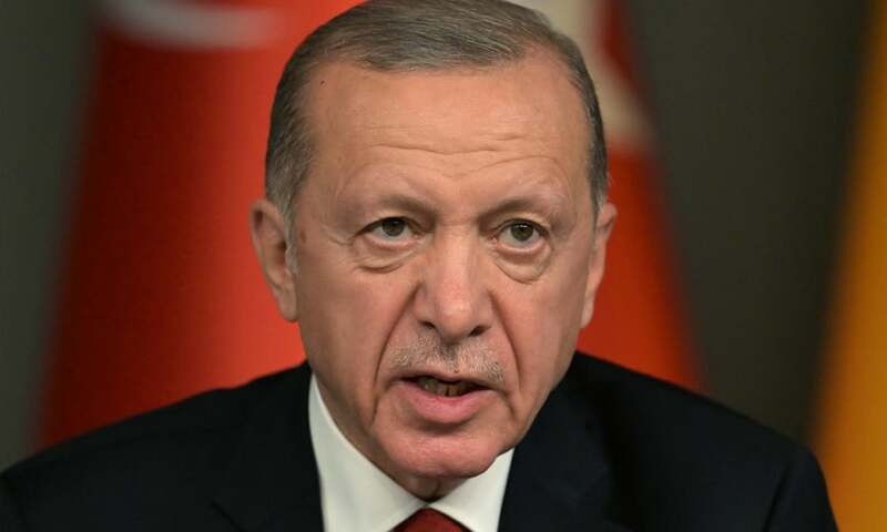 Turkey's Erdogan meets EU chief over Sweden NATO bid - World - Business ...