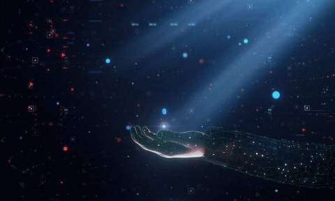 Overcoming the digital divide - Editorials - Business Recorder