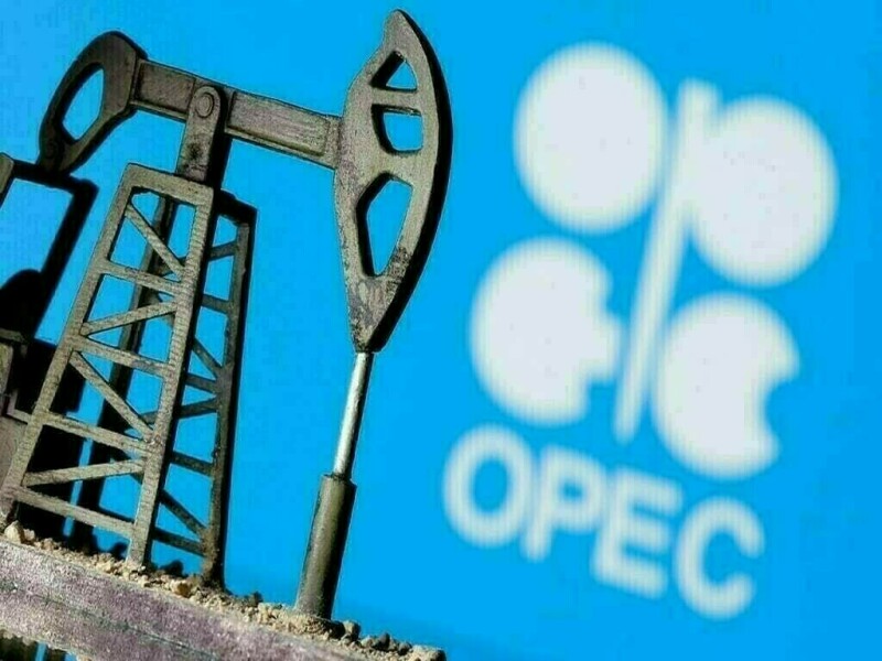 OPEC expects slower 2025 oil supply growth from rivals after price drop - Markets - Business ...