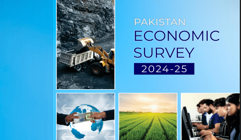 Here is the full text of Pakistan Economic Survey 2024-25 - OurPak.com