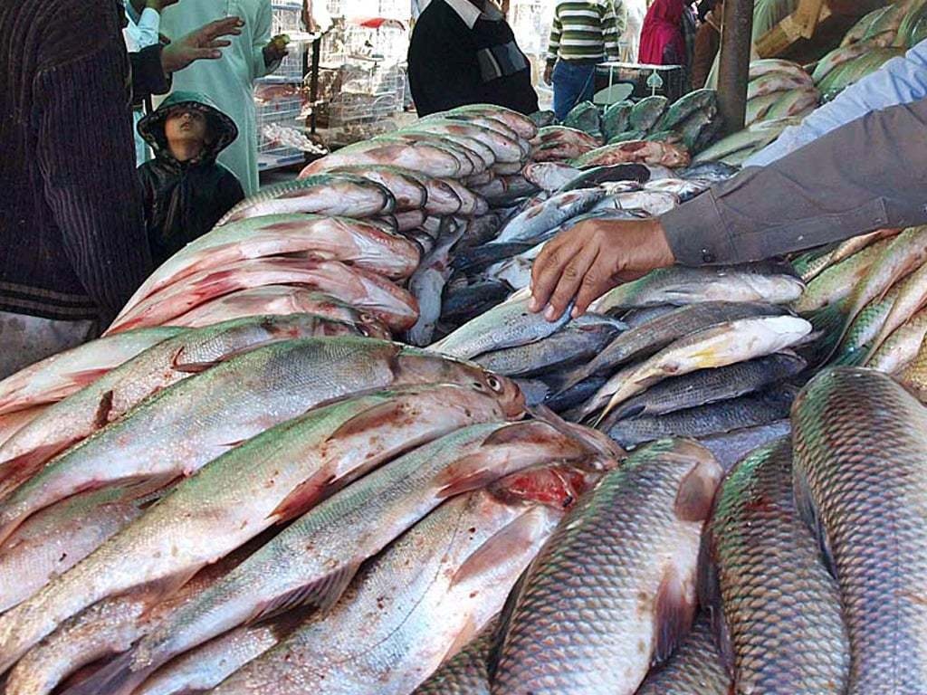 Over 87,482 metric tons of fish, fish preparations worth $185.088mn ...