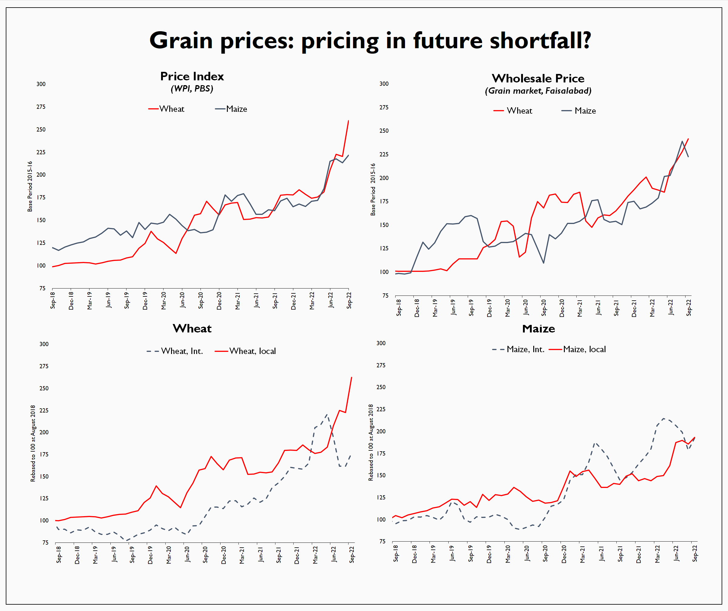 Grain market in turmoil - BR Research - Business Recorder
