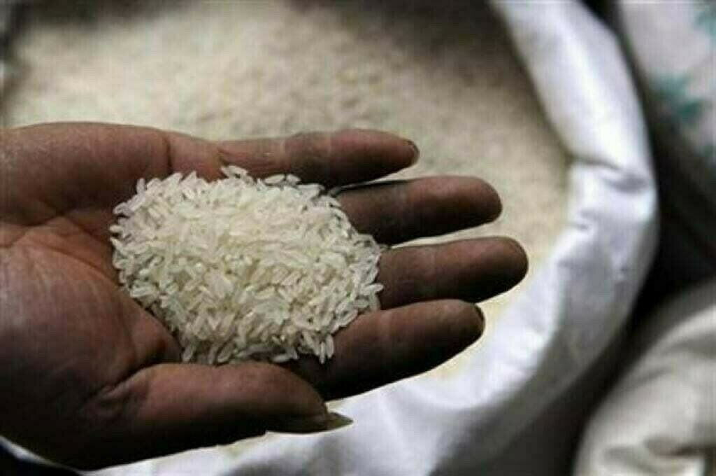 BD gets offers in tender to buy 50,000 tons of rice - Markets ...