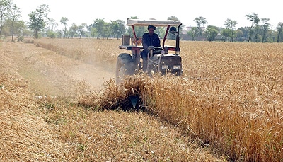 Wheat sector reforms in Pakistan: Punjab’s Electronic Warehouse Receipts regime to the rescue ...