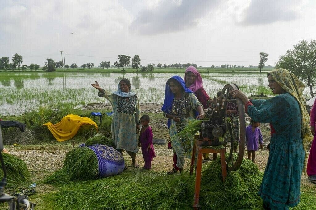Farmers affected by floods: Relief-rehab plan unveiled by govt ...