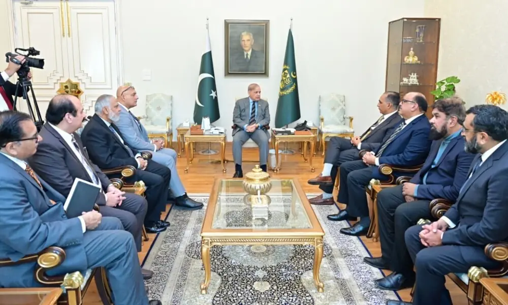 PM Shehbaz directs EAD to facilitate investment by Pakistani-origin US ...