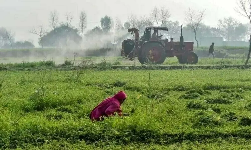 Trends - Agriculture Lab - Business Recorder