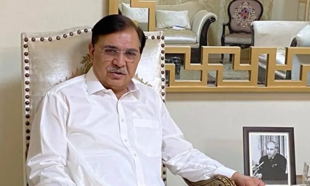 PPP slams KP, federal govts over deforestation, PIA privatisation ...