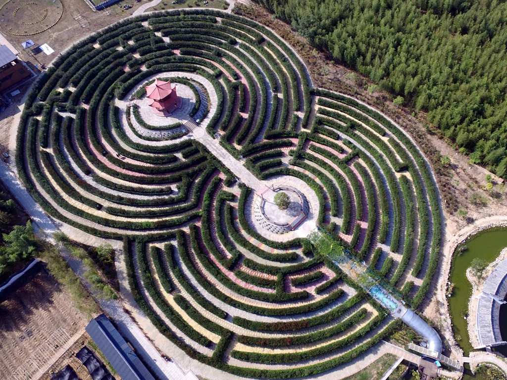 Leisure farming - Business Recorder