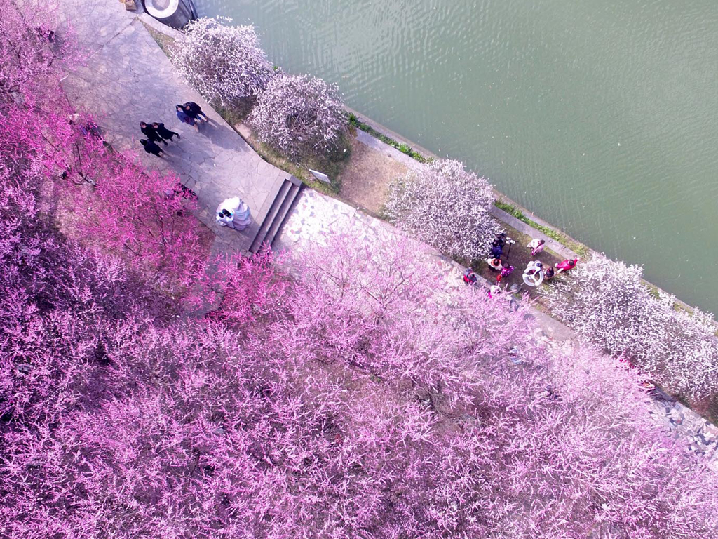 Pink University - Business Recorder