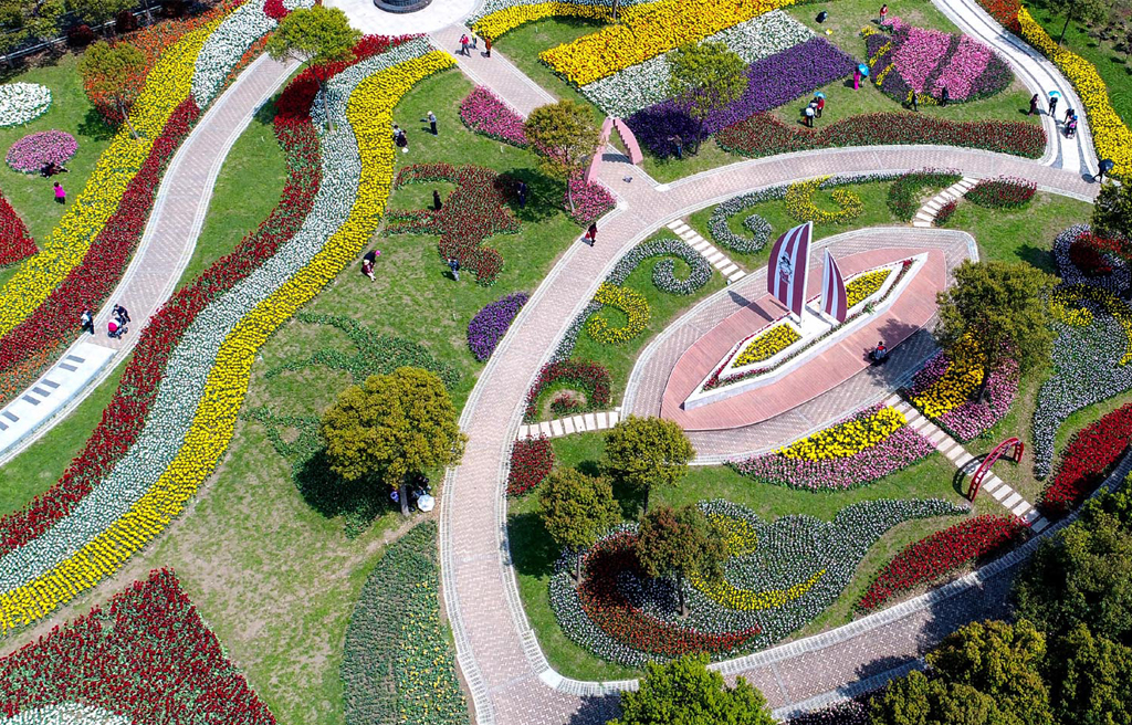 Tulip theme - Business Recorder