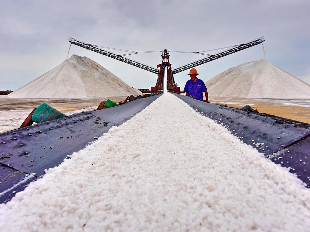 Sea salt harvest - Business Recorder