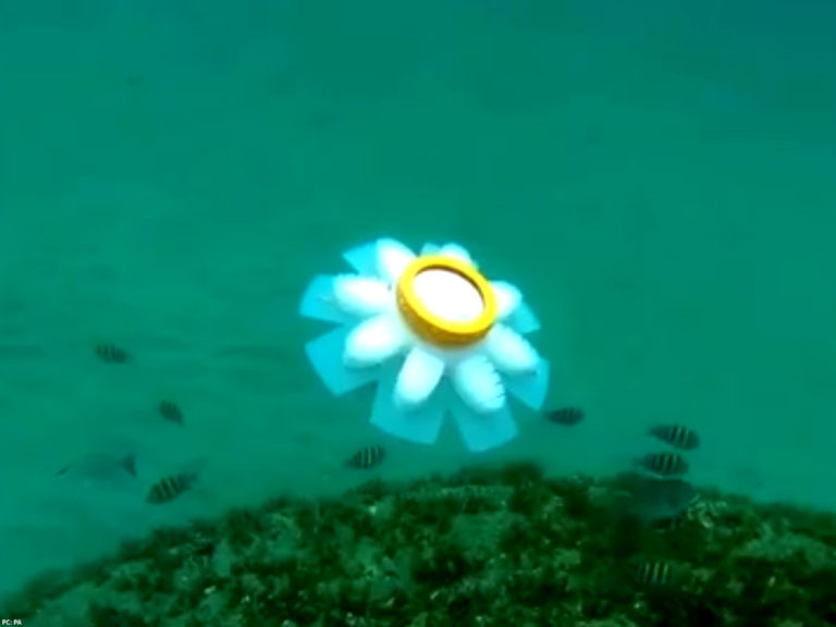 Researchers create robotic jellyfish to be ‘guardian of the oceans ...