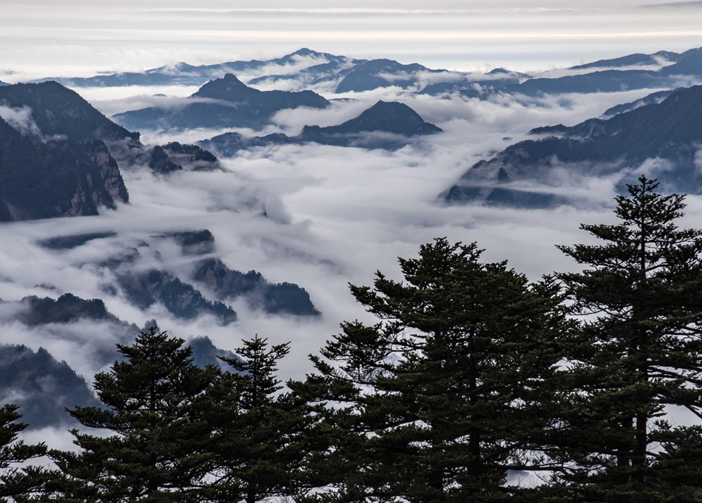 Cloud-covered Valley - Business Recorder