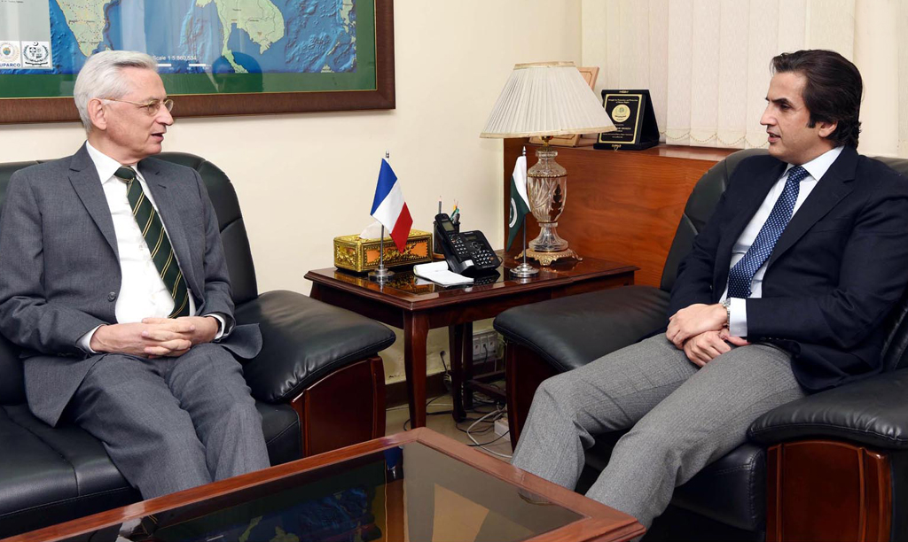 Planning minister invites France to invest in clean energy production ...