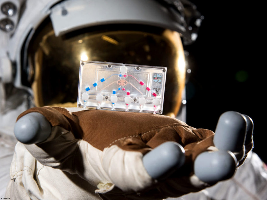 NASA to send living organs-on-chips to space for experiments ...