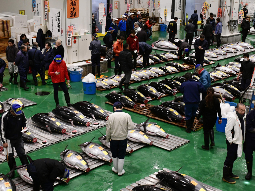 Record $3.1 million paid in New Year's tuna auction at Japan's new ...