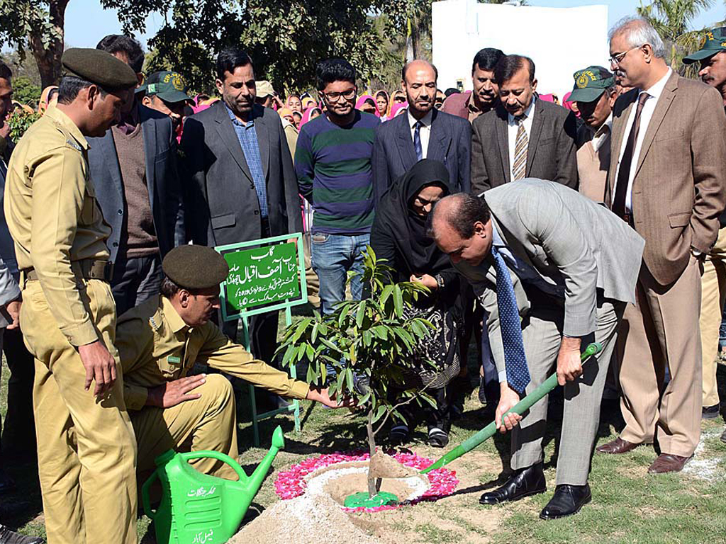 Commissioner inaugurates tree plantation campaign - Business & Finance ...