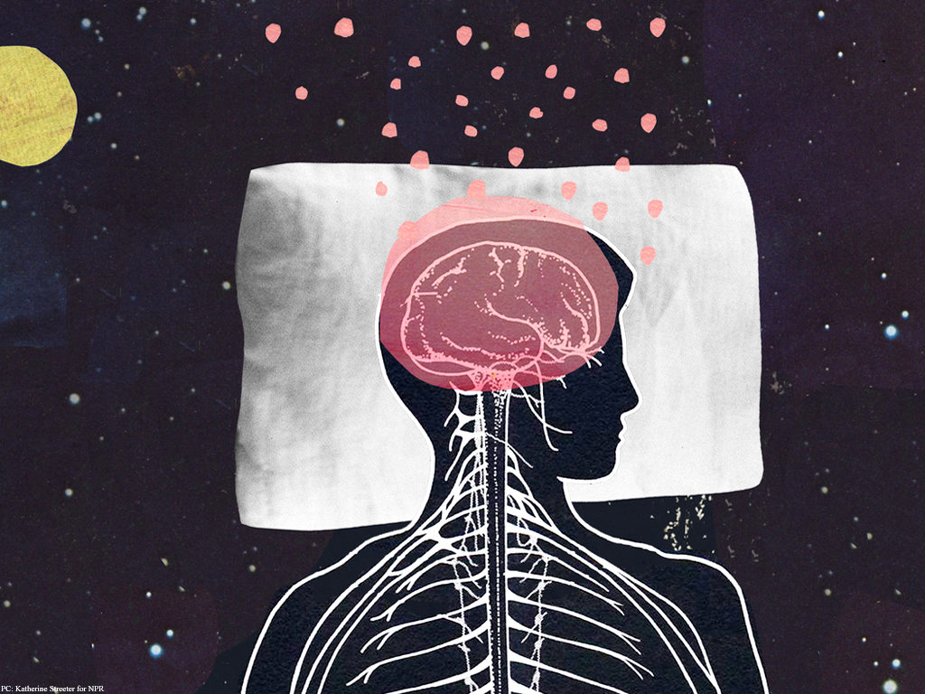 Study finds human brain can learn new things during sleep - Technology ...