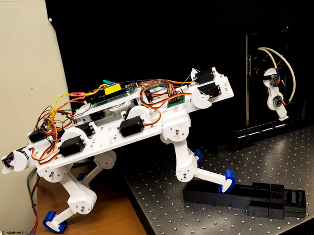 Researchers create robotic leg that teaches itself to walk - Technology ...