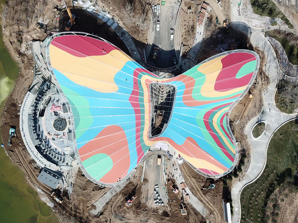 World biggest butterfly - Business Recorder